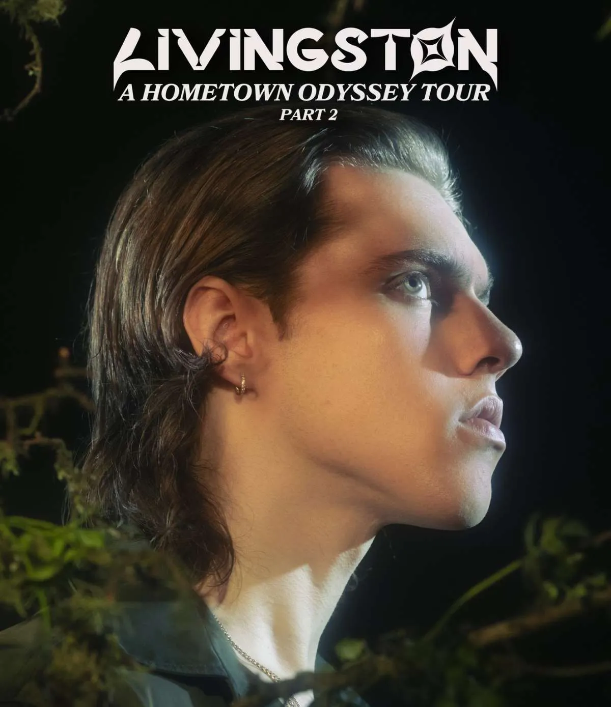 Livingston: A Hometown Odyssey Tour – Part 2 at Lincoln Theatre ...