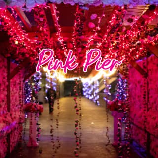 Pink Pier at Watermark NYC at New York City Activities - Friday, Jan 26 ...