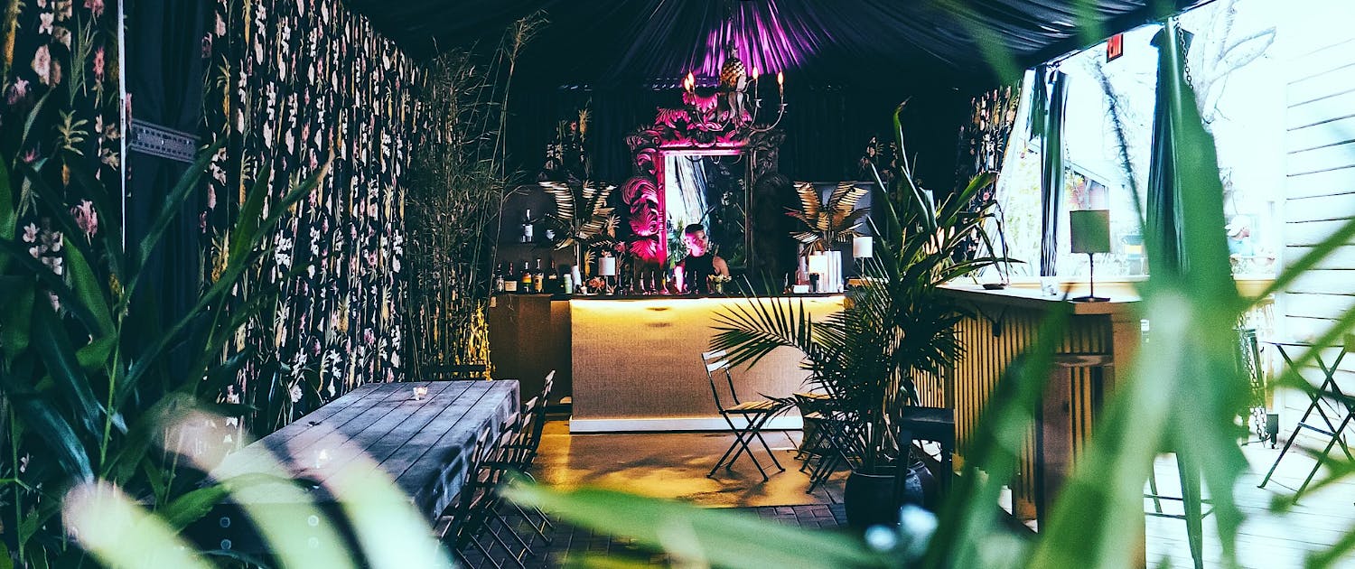 Reina Austin Tickets & Promo Codes: FAQ & Tips - Discotech